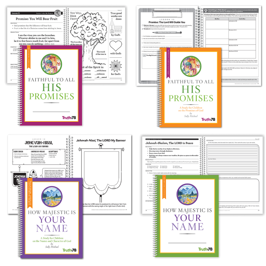 Multi-age Curriculum – Truth78