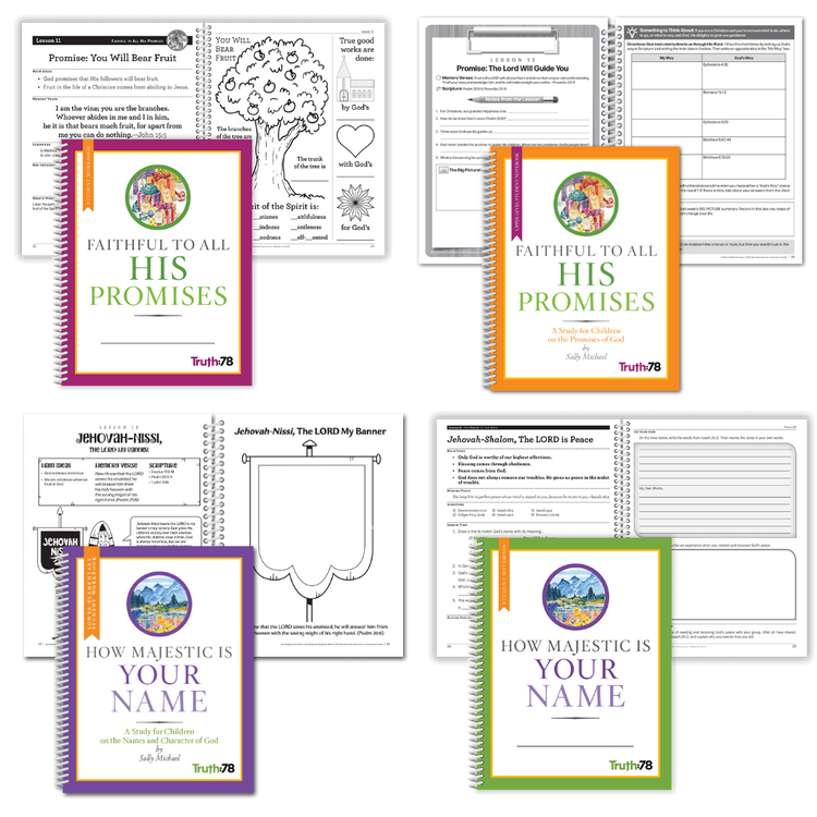 Multi-age Curriculum – Truth78
