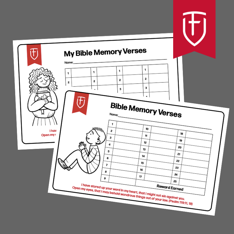 Tools for Memorizing – Truth78