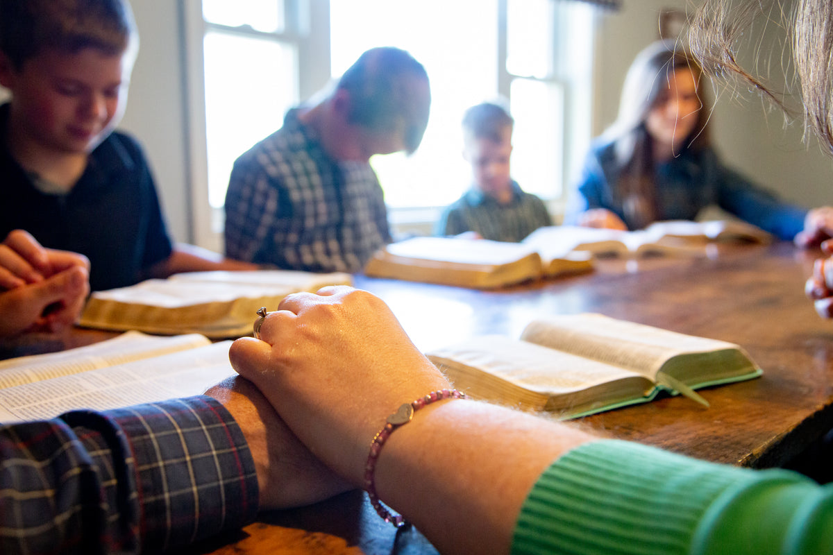 Family Overview – Truth78