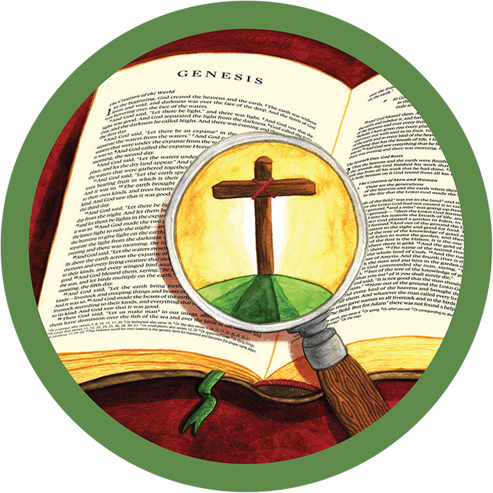 Curriculum – Truth78